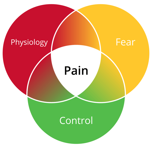 My step by step approach to overcoming acute and chronic pain